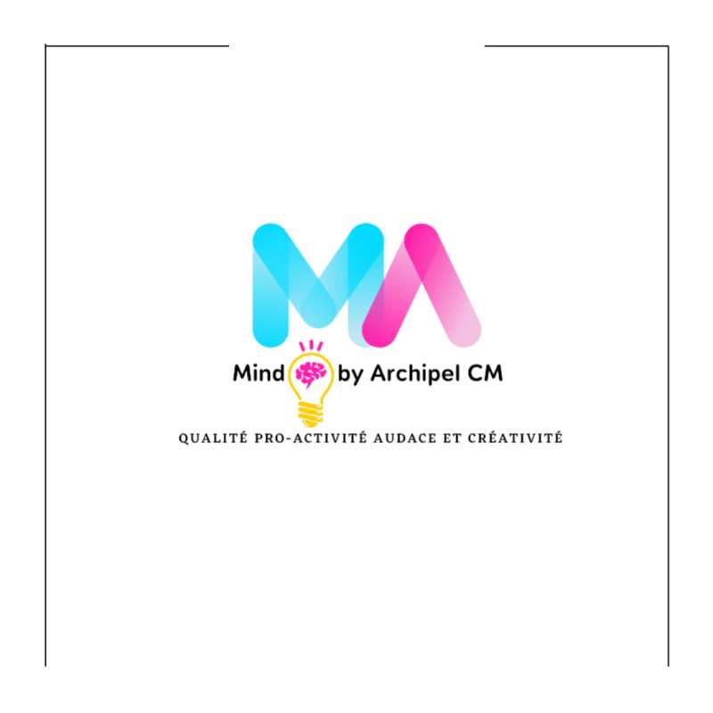 ARCHIPEL CM – ASSISTANTS DE PROJET